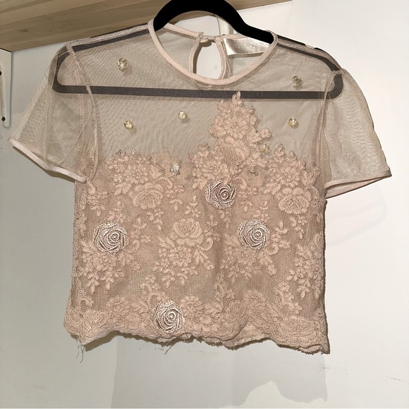 rotsaniyon | Tops | Mesh Blush Neutral Blouse | Poshmark